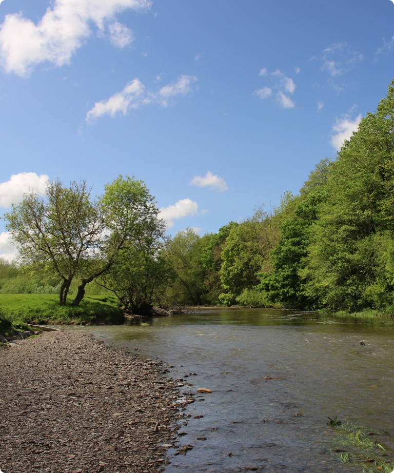 About Smithy Park - Smithy Park